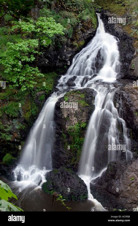 Sitting Lady Falls In Witty S Lagoon Park Victoria Vancouver Island Bc