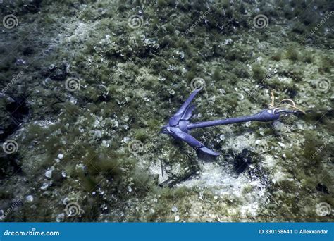 Anchor Lying On The Seabed Stock Image Image Of Undersea 330158641
