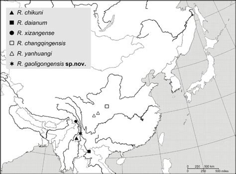 Distribution Map Of The Species Of Rapisma From China Download Scientific Diagram