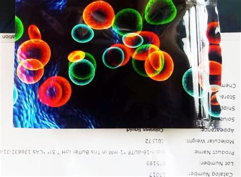 Cell Meter Apc Annexin V细胞凋亡检测试剂盒 适合于流式细胞仪