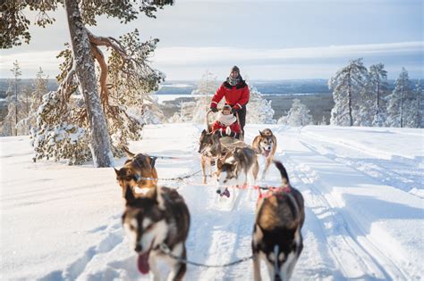 Find Exciting Activities In Rovaniemi Visit Rovaniemi