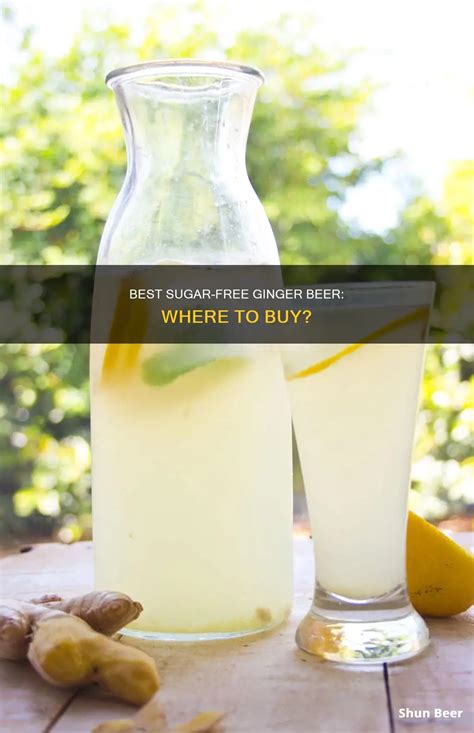 Best Sugar Free Ginger Beer Where To Buy Shunbeer