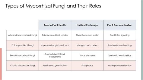 Mycorrhizal Plant Communication Ppt Template Acp Ppt Presentation