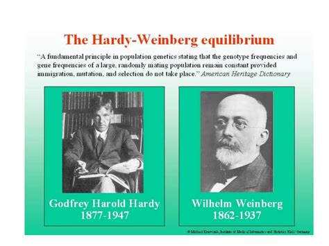 Hardy Weinberg Principle Pptx