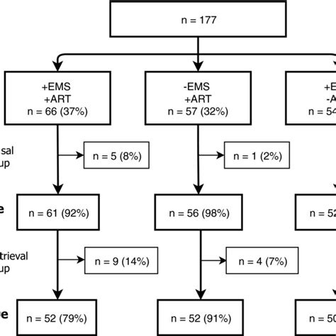 Flowchart Of Recruitment Ems Endometriosis Download Scientific Diagram