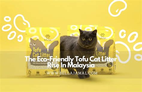 The Eco Friendly Revolution Tofu Cat Litters Rise In Malaysia Ini