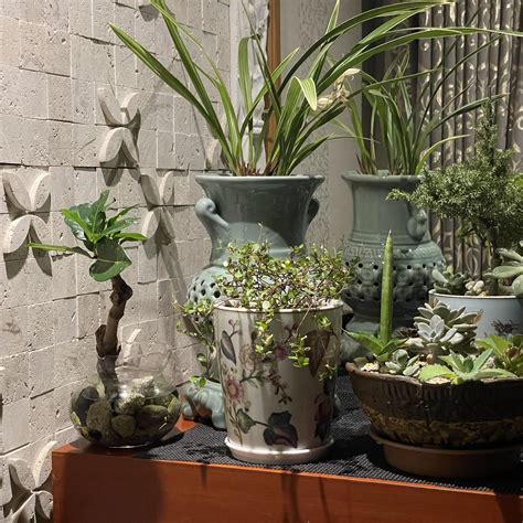 Seunghui 엘론 머스크가 X에서 주장한다 유럽연합eu에 대한 정치적 풍자를 담고 있다 1 유럽연합eu 깃발 패러디 • 원래 Eu 깃발은 파란 바탕에