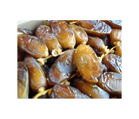 Dattes Fraîches Deglet Noor d Algérie branchée Qualité Premium