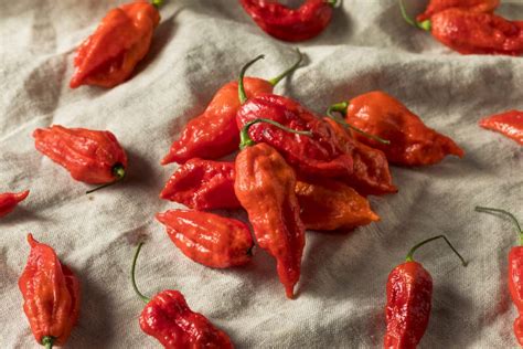 Five Ghost Pepper Facts That May Surprise You Pepperscale