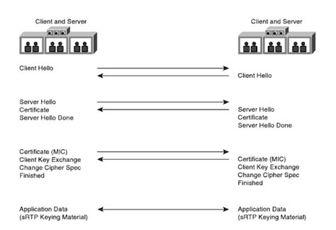 cisco telepresence solution architecture cts system dtls call analysis