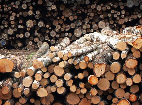Var Log Rant Log Your Machines And Check Your Logs
