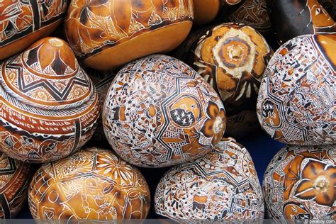 Flaschenkürbis Anbau Und Trocknen Der Kalebasse