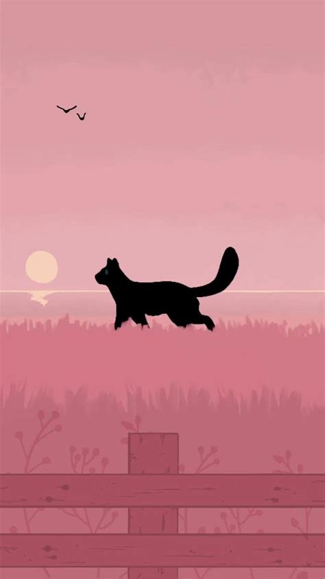 Cat Animation And Illustration In 2025 Cute Drawings Tv Animation