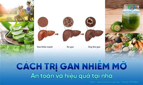 C Ch Tr Gan Nhi M M T I Nh An To N V Hi U Qu