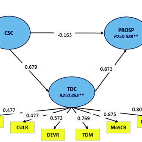 First Reflective Model Without Discriminating Items P ≤ 005 P ≤