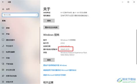 Win10怎样查看版本号和许可证号？ Win10查看版本号和产品id的方法 极光下载站