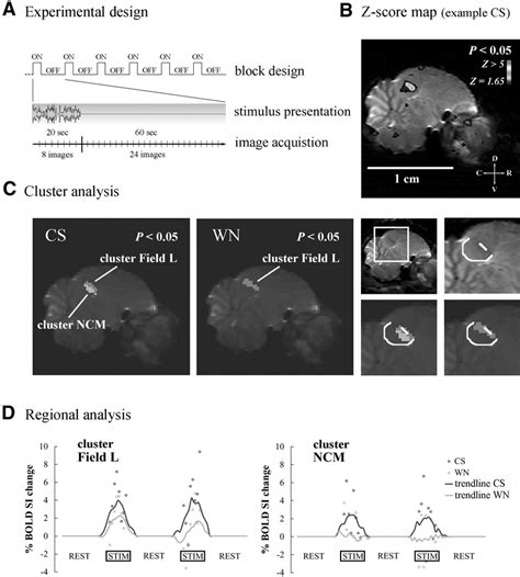 Data Acquisition And Analysis A Schematic Representation Of The Download Scientific Diagram