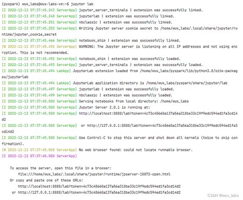 jupyterlab安装与配置 csdn博客