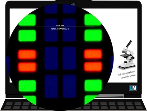 Asus Zenbook Oled Um Review Balanced Performer With Long Battery Life Laptopmedia Uk