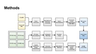 Multimodal Mri Statistical Segmentation Of Normal Appearing White