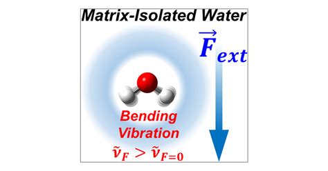 Electric Field Effect On Condensed Phase Molecular Systems Vii Vibrational Stark Sensitivity