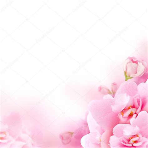 Pink Funeral Program Backgrounds