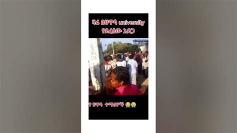 ወደ ሐዋሳ ዩኒቨርስቲ ለፈተና በገቡ የ12ተኛ ክፍል ተማሪዎች ላይ ድልድይ ተደርምሶ ጉዳት ደረሰ Hawassa