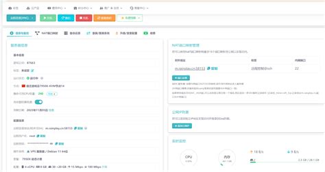 雨云游戏云vps搭建mcsm面板和我的世界（mc）paper服务器教程雨云mcsm Csdn博客