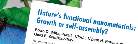 Mrs Bulletin On Biologically Inspired Far From Equilibrium Materials