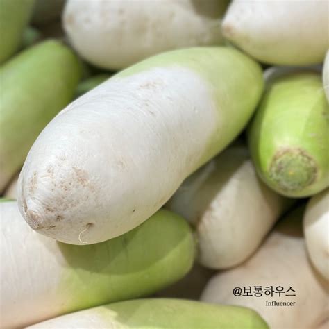 무 냉동보관 냉장보관 기간은 네이버 블로그