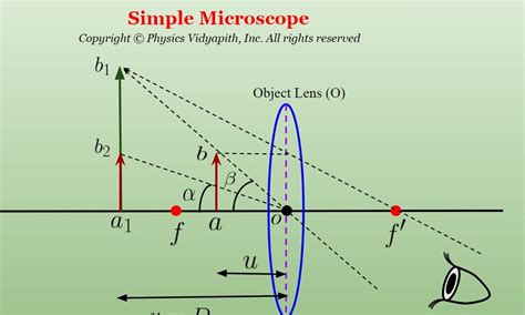 Principle Construction Working And Angular Magnification Of Simple