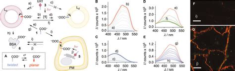 A Mode Of Action Of 1 S Compressive Force B Excitation Spectra Of