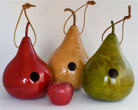 Wren House Gourd Birdhouse Red Light Green Natural Small Etsy