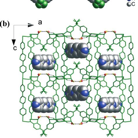 A View Of The Edta Ligand And The Ag I Coordination En Download