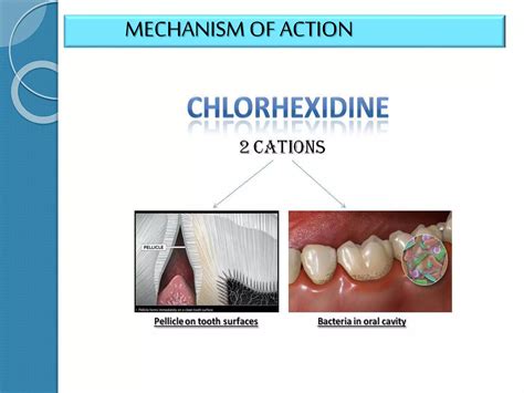Chlorhexidine Pptx Skin Care Beauty