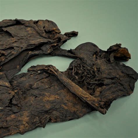 Ancient Bodies Secrets Revealed National Geographic Your Favourite