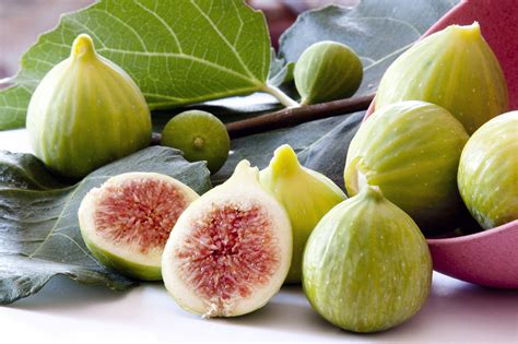 NUTBERRY – Packaging Of The World