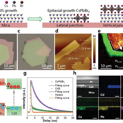 Photovoltaic Performance Of The Cspbbr3cds Heterostructure A