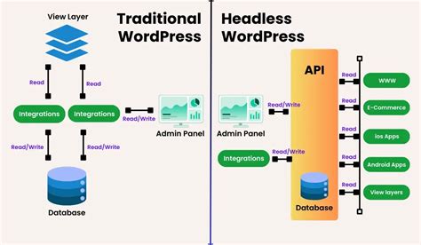 Why Choose Wordpress As Headless Cms For Your Next Project Wpmozo