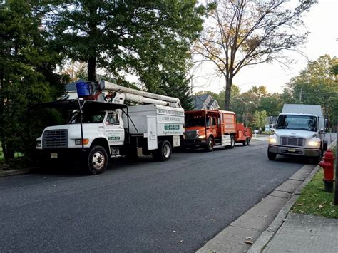 Tree Service In Edison NJ 08820 5 Star Rated