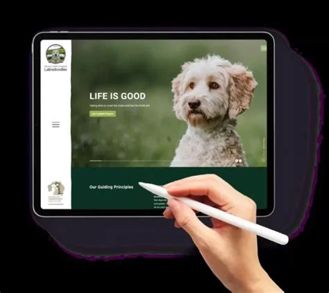 Web Design Perth Website Design And Development Services Wp Creative