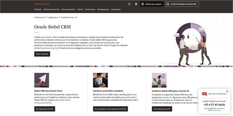 Exemples De Crm 21 Solutions Analysées Pour Tous Les Besoins Exemples De Crm 21 Solutions Analysées Pour Tous Les Besoins
