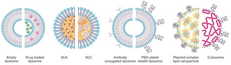 Lipid Nanoparticle Lnp Technology Lipidsol Ascendia