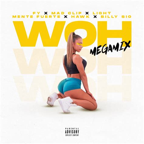 Fy Woh Megamix Lyrics Genius Lyrics