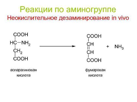 Аспарагиновая кислота: формула, свойства, применение, побочные эффекты