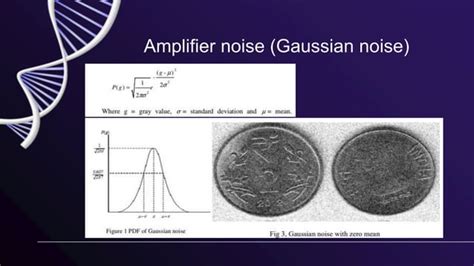 Noise Models Ultrasound PPT