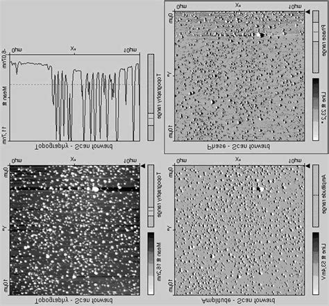Shows The Image Of The Ybco Single Crystal On Which The Investigated