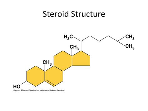 Biochemistry Macromolecules Part 1 Ppt Download
