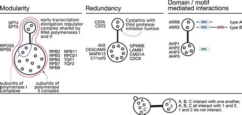 Modularity And Redundancy In Protein Interaction Networks Modularity