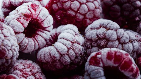 How Automation Is Optimizing Cold Storage